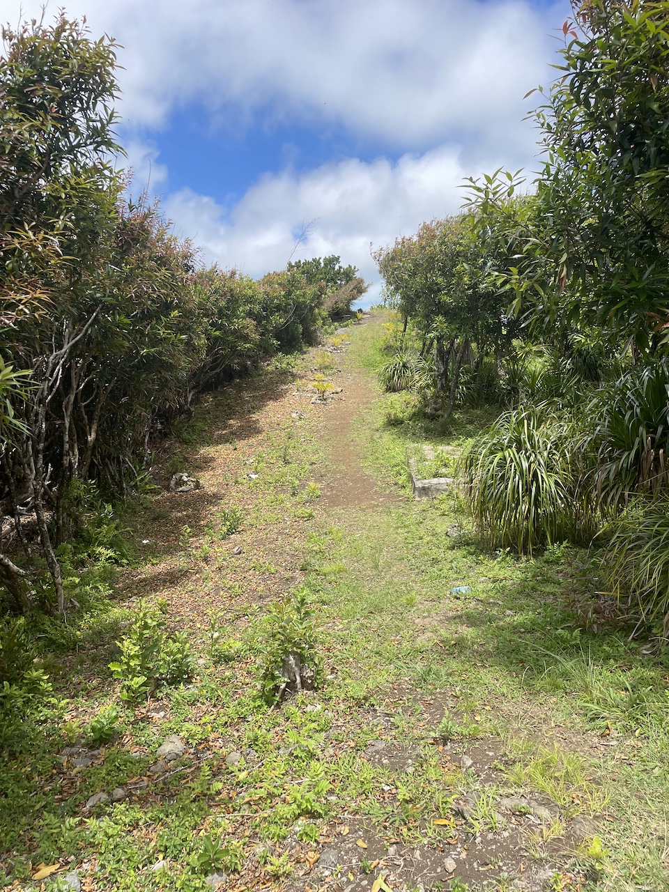 Mont Limon En | Discovery Rodrigues
